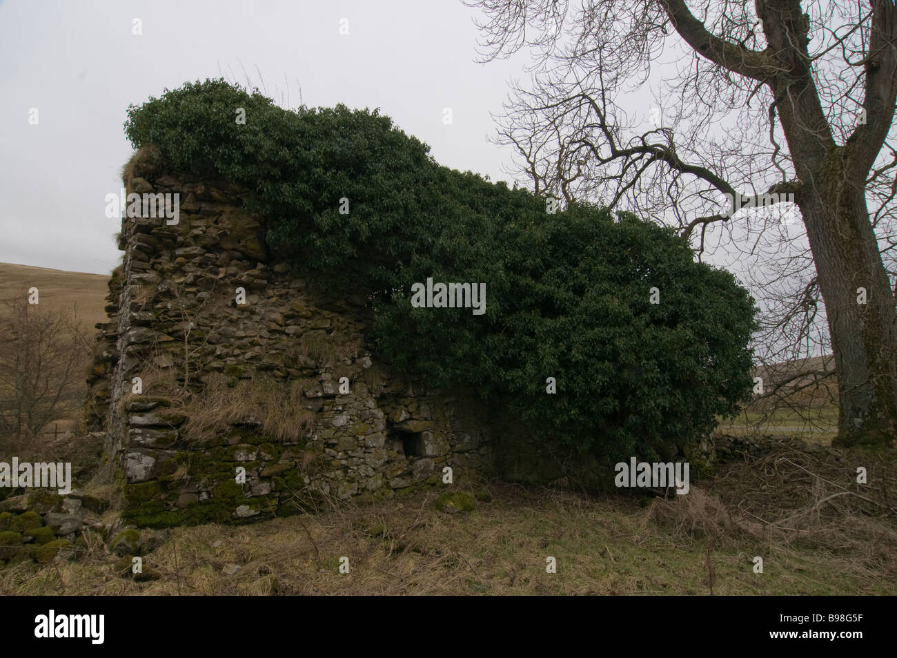 Outer walls of Blackhouse Tower Stock Photo - Alamy