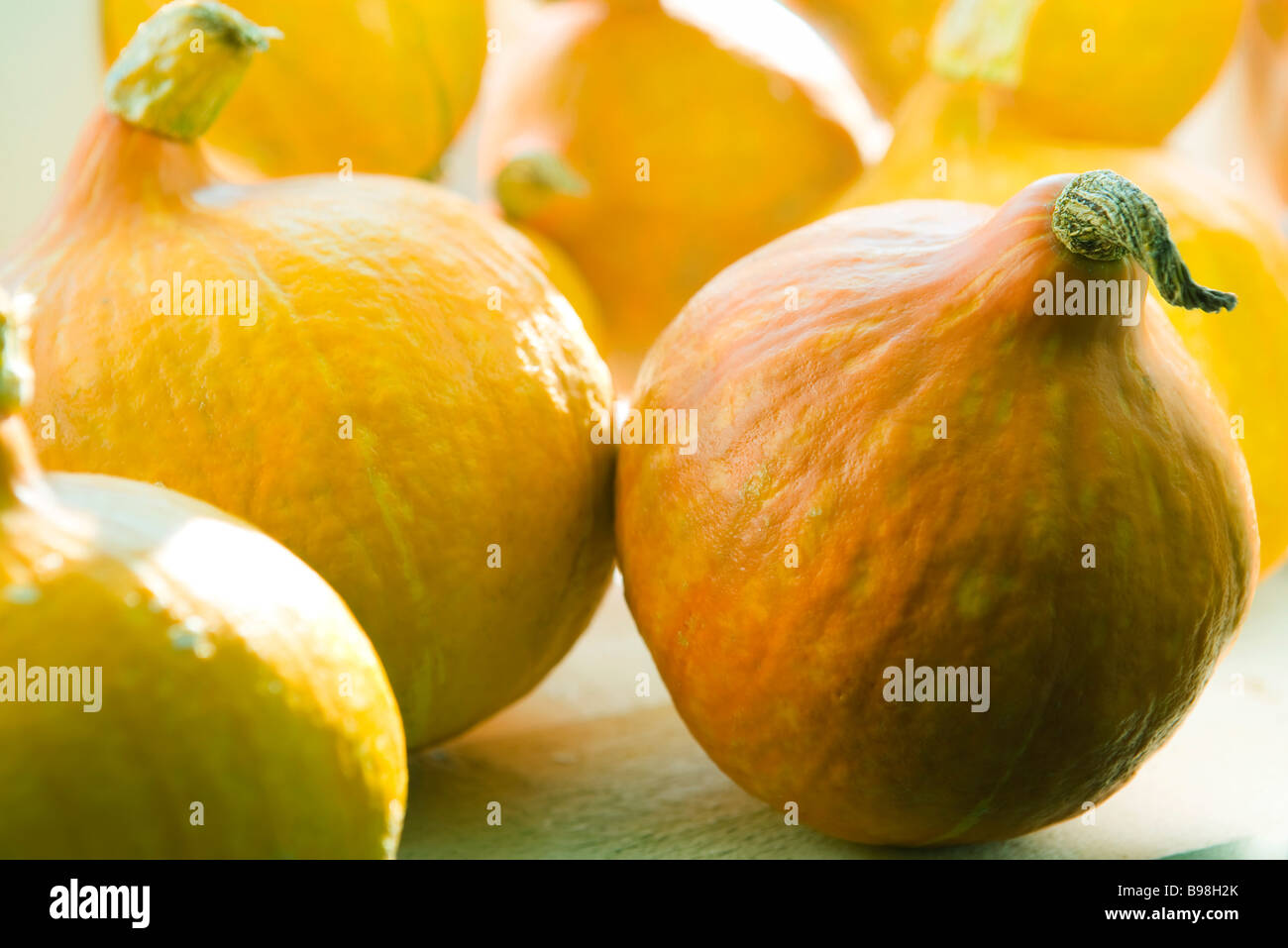 Winter squash, close-up Stock Photo - Alamy