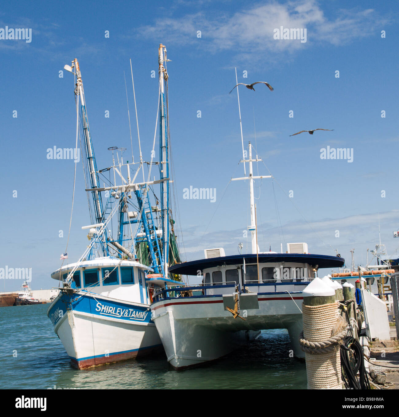 A SHRIMPER AND A PARTY BOAT RAFTED AT PORT CANAVERAL ON THE ATLANTIC ...