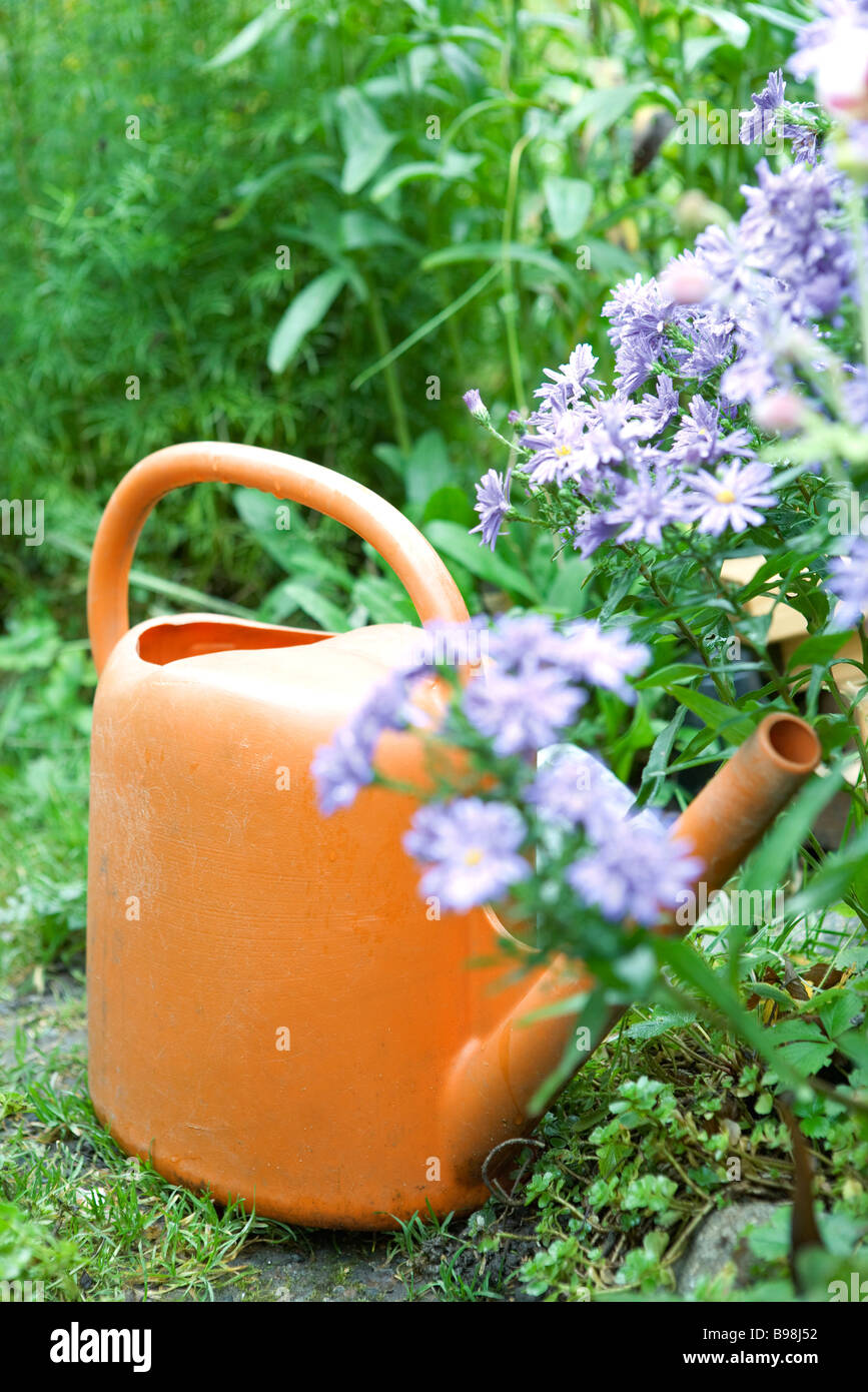 Plastic watering can by flowers Stock Photo - Alamy