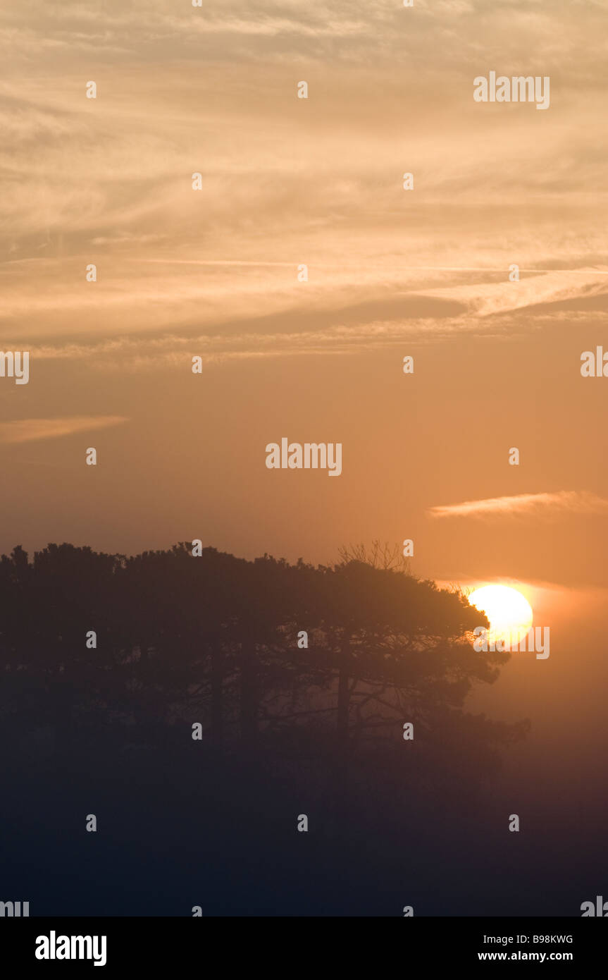 Sunrise behind trees Stock Photo - Alamy