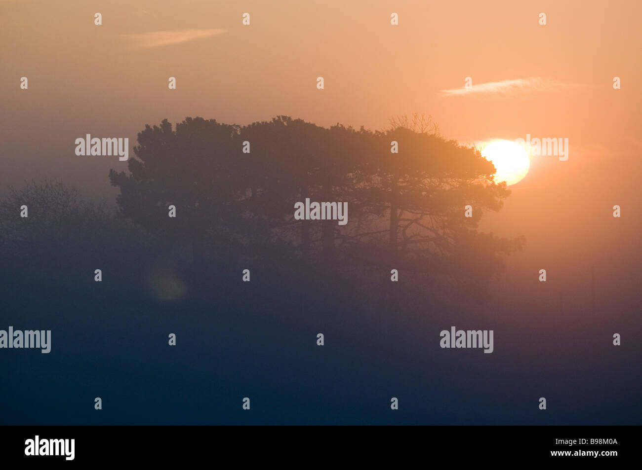 Sunrise behind trees Stock Photo - Alamy