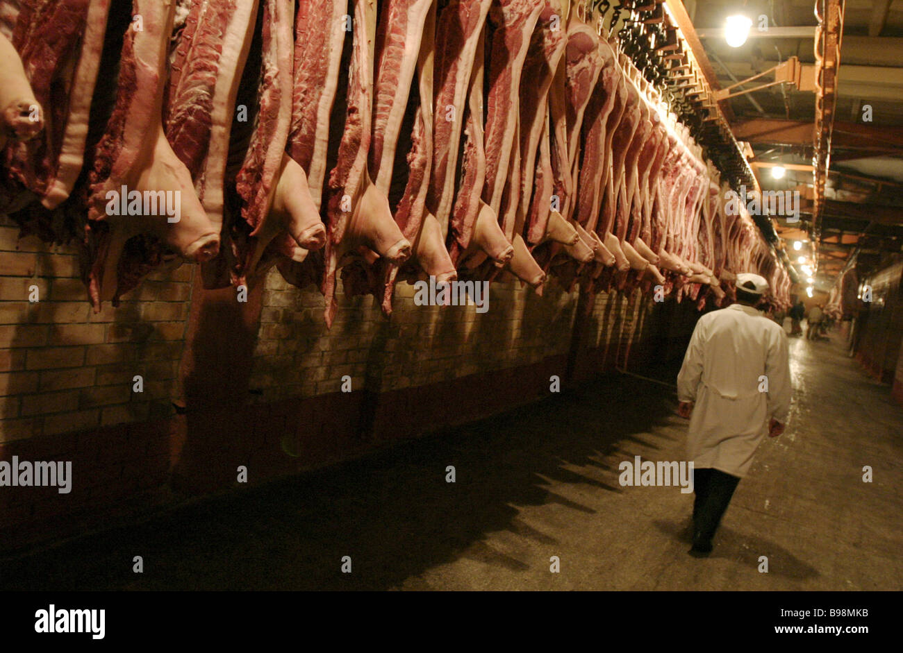 The Vitebsk meat processing and packing factory refrigerator Belarus ...