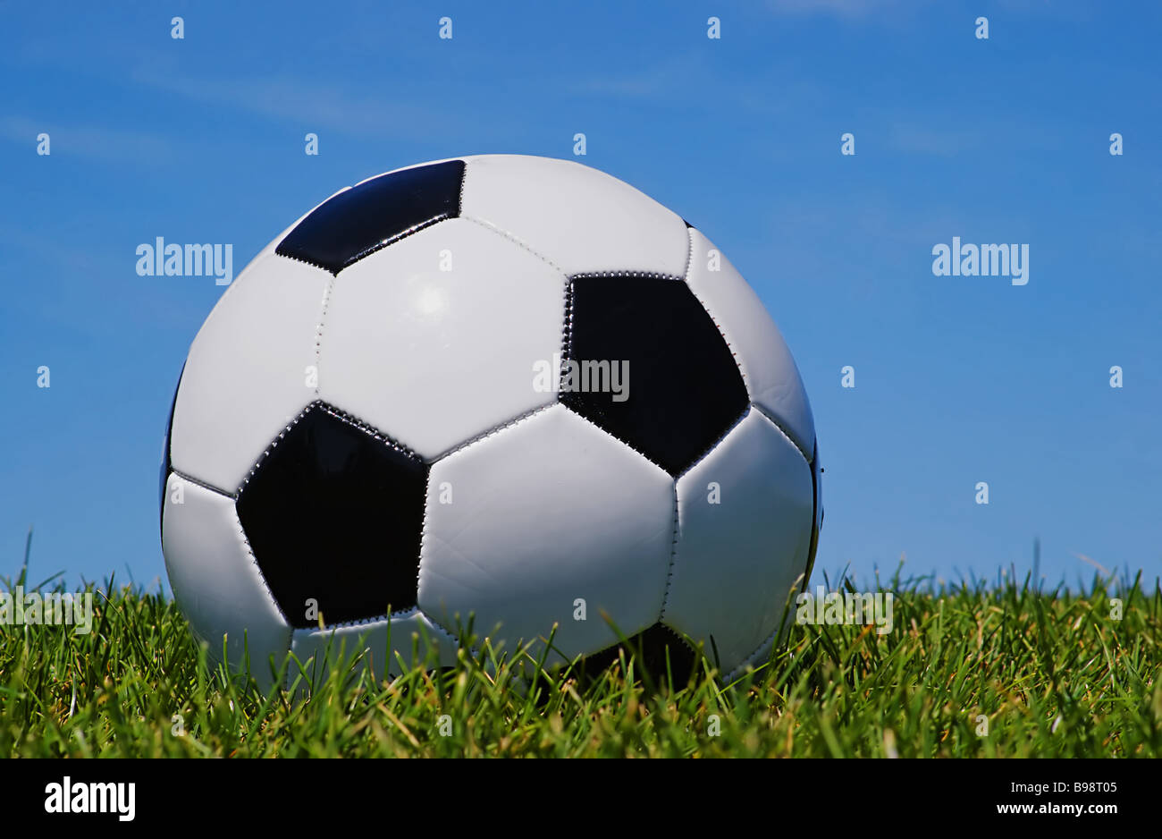 Beautiful field of grass hi-res stock photography and images - Alamy