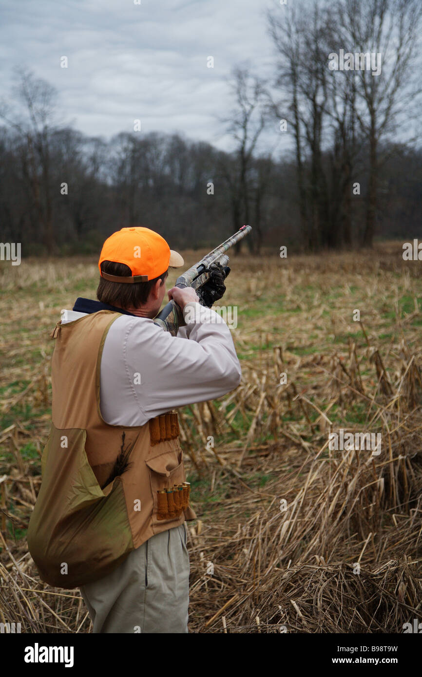 UPLAND BIRD HUNTER FIRING AT GAME BENELLI REALTREE AP CAMO SHOTGUN ...