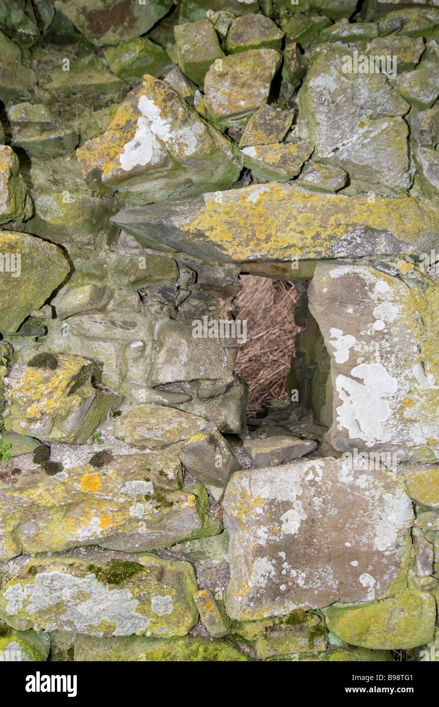 Arrow loop at Blackhouse Tower Stock Photo - Alamy