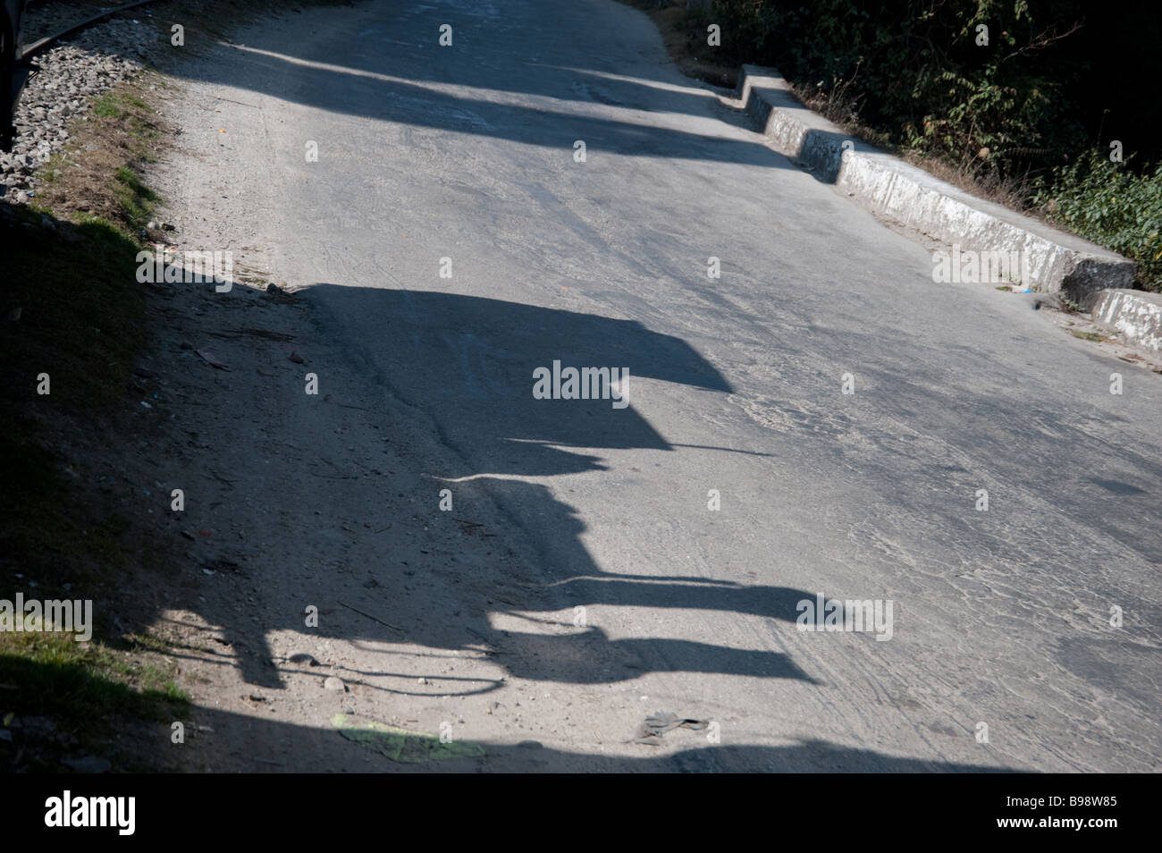 Narrow gauge train darjeeling west bengal india himalayan railway hi ...