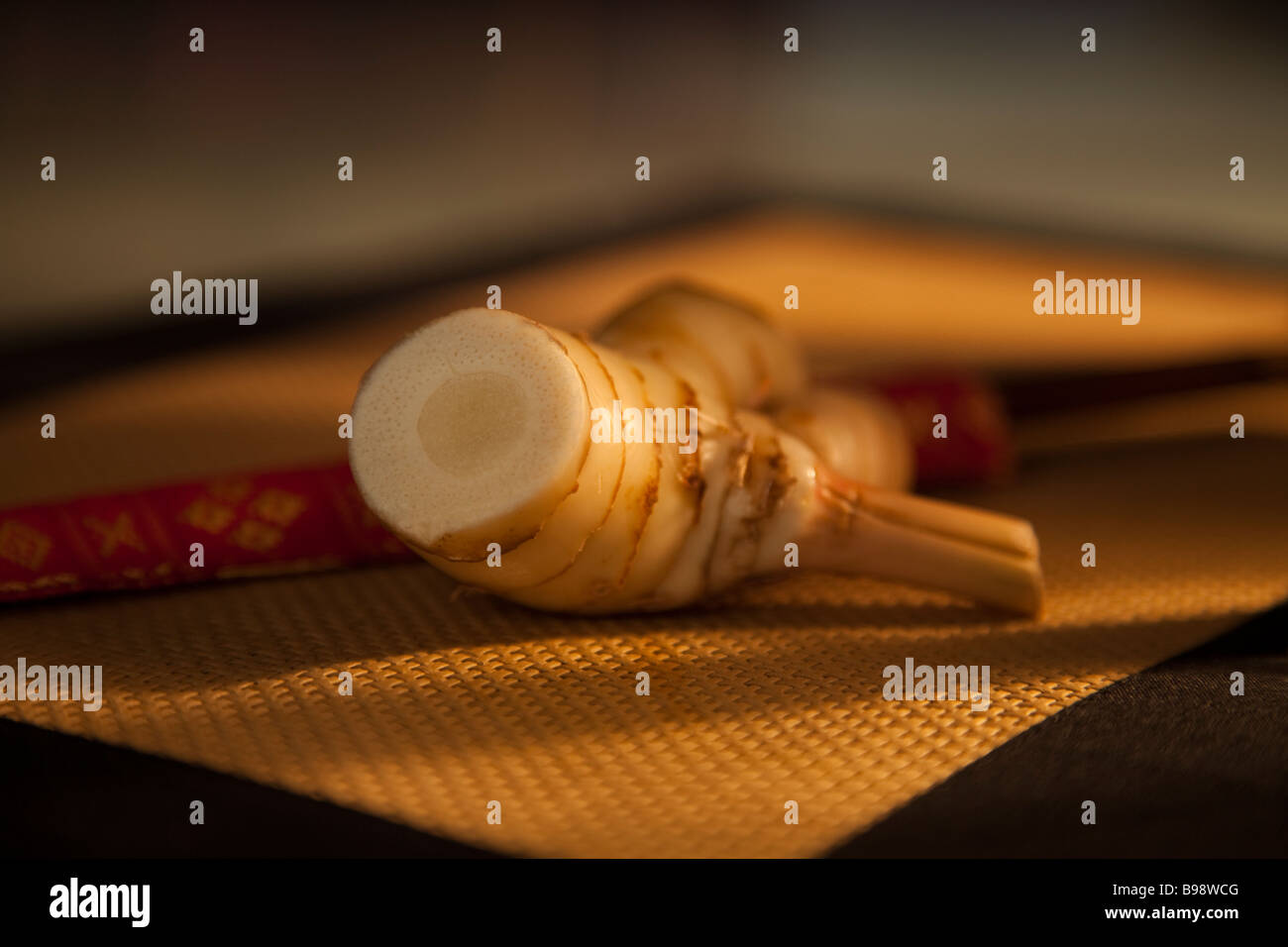 Thai root vegetable Galangal illuminated with warm light next to chop ...