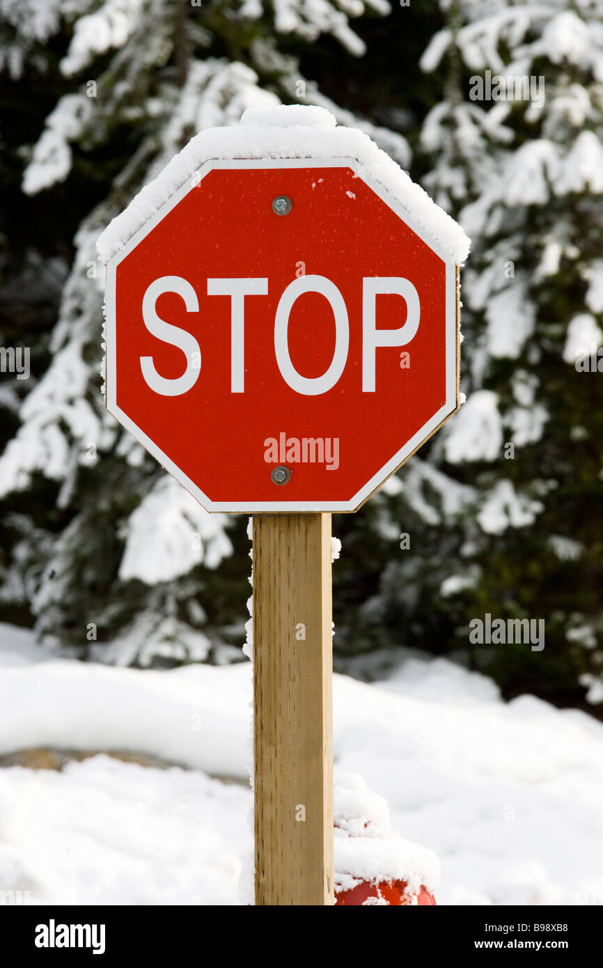 Snowy stop sign Stock Photo - Alamy