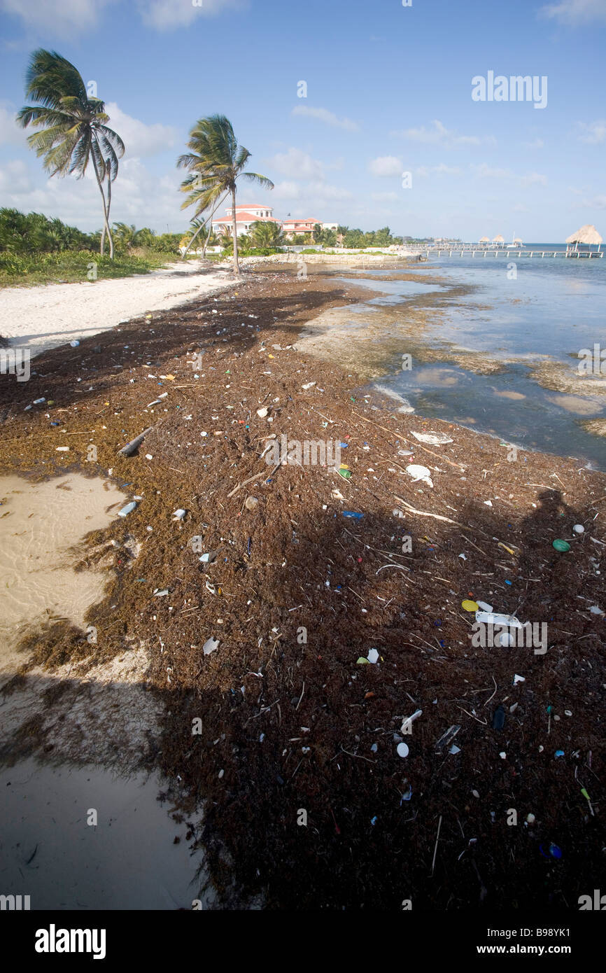 Pollution, trash, and debris gets blown onto the beaches from the open ...