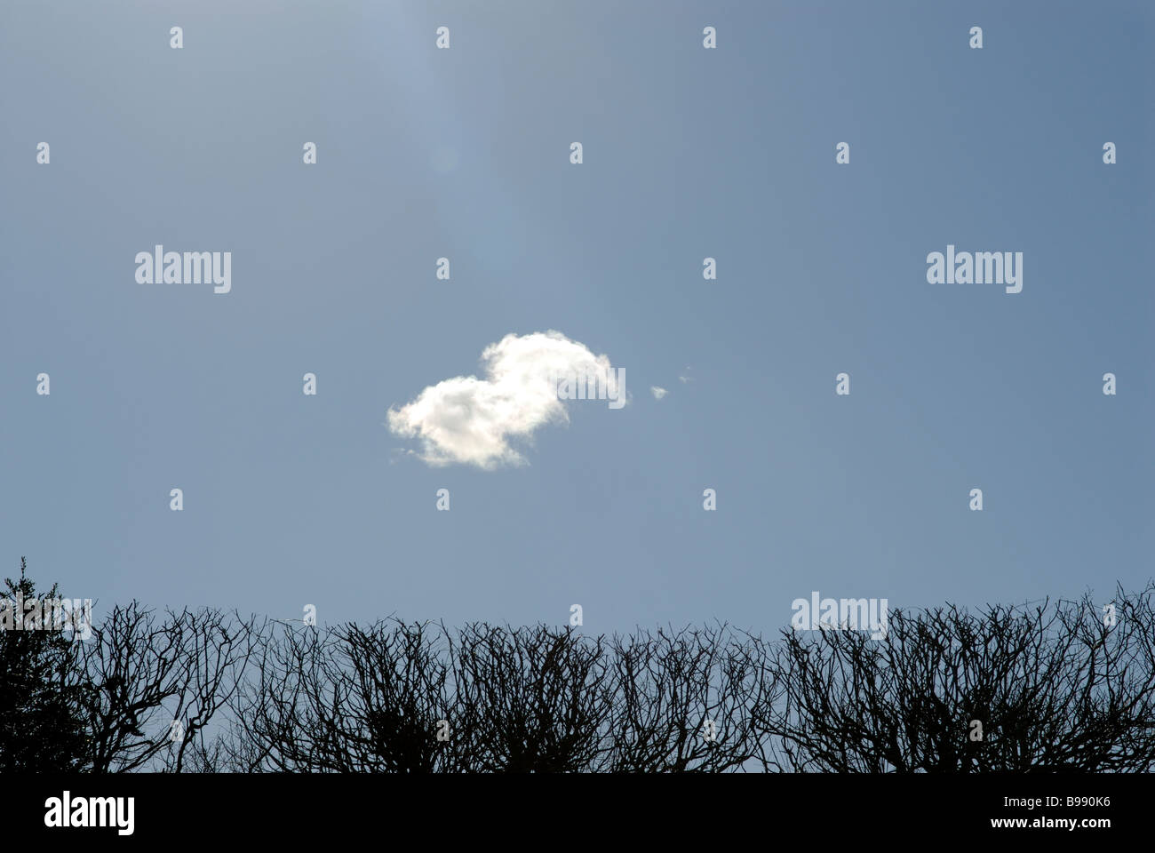 SMALL IS BEAUTIFUL Stock Photo - Alamy