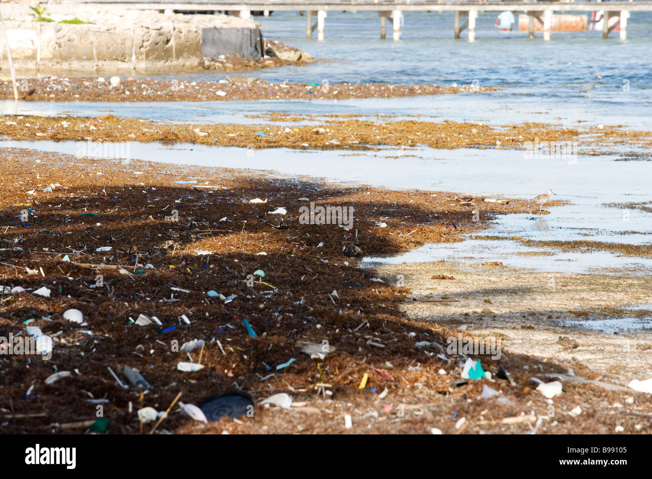 Trash and pollution is blown onto the beaches from the Gulf of Mexico ...