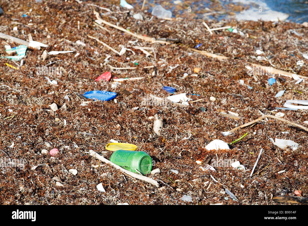 Trash and pollution is blown onto the beaches from the Gulf of Mexico ...