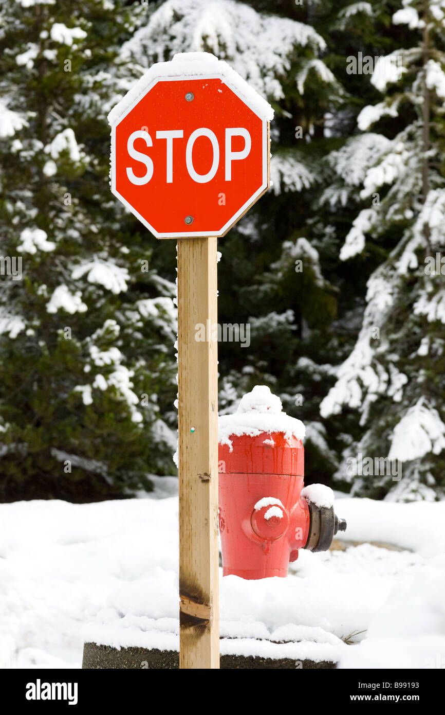 Snowy stop sign Stock Photo - Alamy
