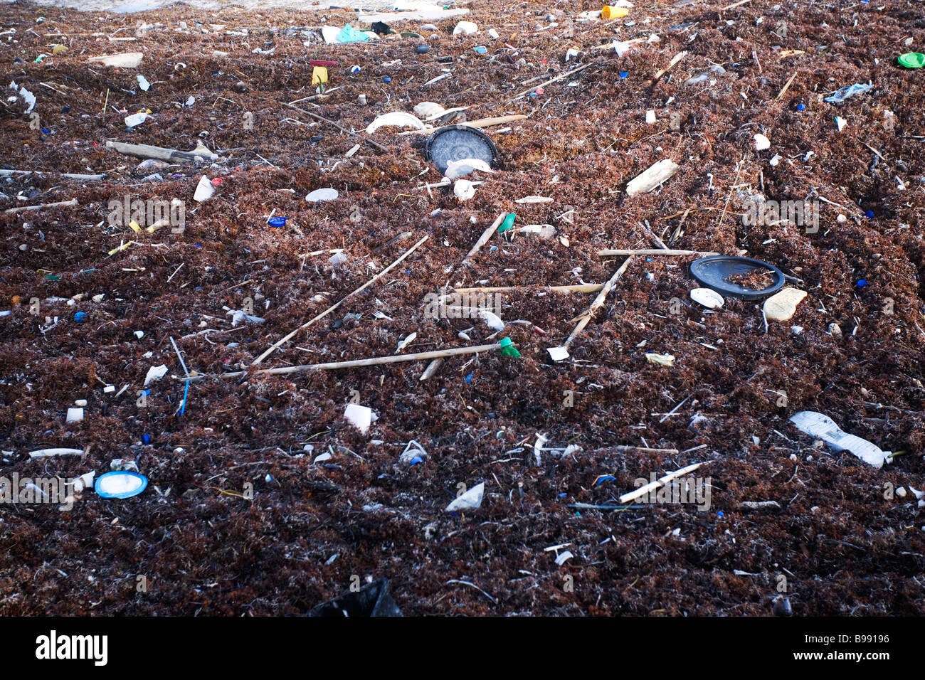 Pollution, trash, and debris washes up onto the shore from the open ...