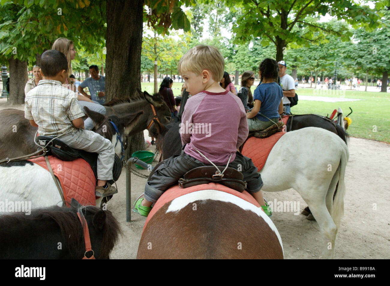 Horse riding in a Parisien park Stock Photo - Alamy