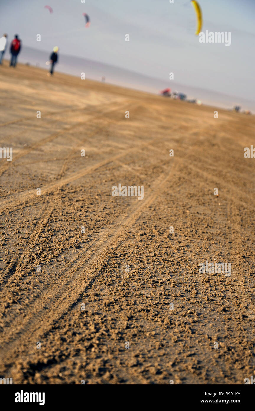 tracks in the sand Stock Photo - Alamy