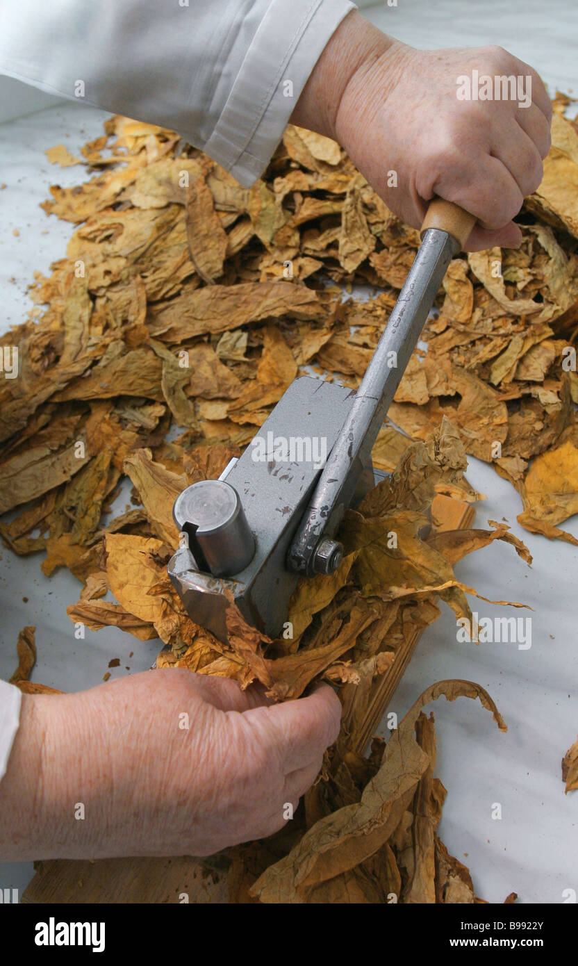 In the Donskoi Tabak tobacco processing plant quality control ...