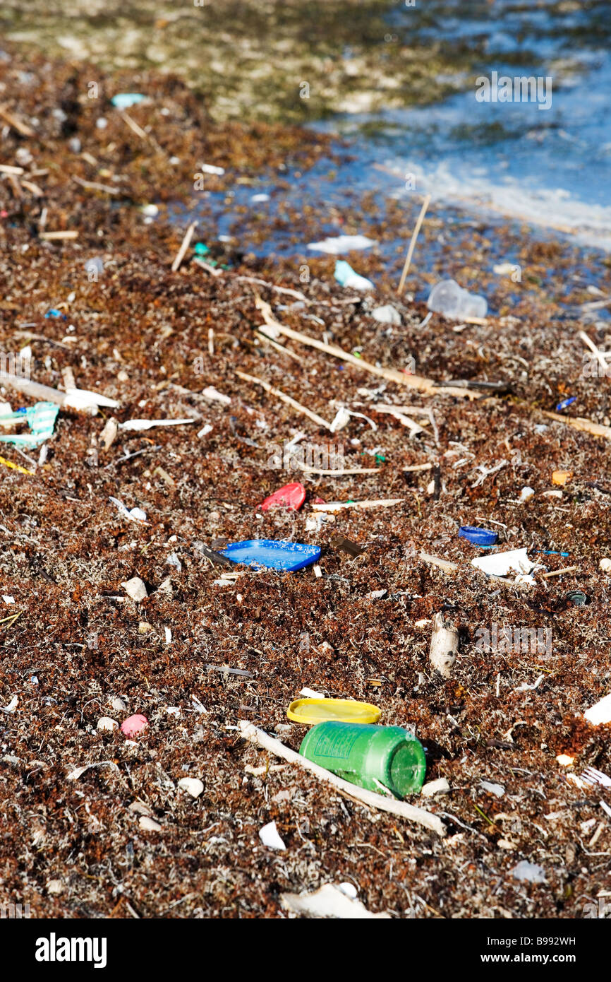 Trash and pollution is blown onto the beaches from the Gulf of Mexico ...