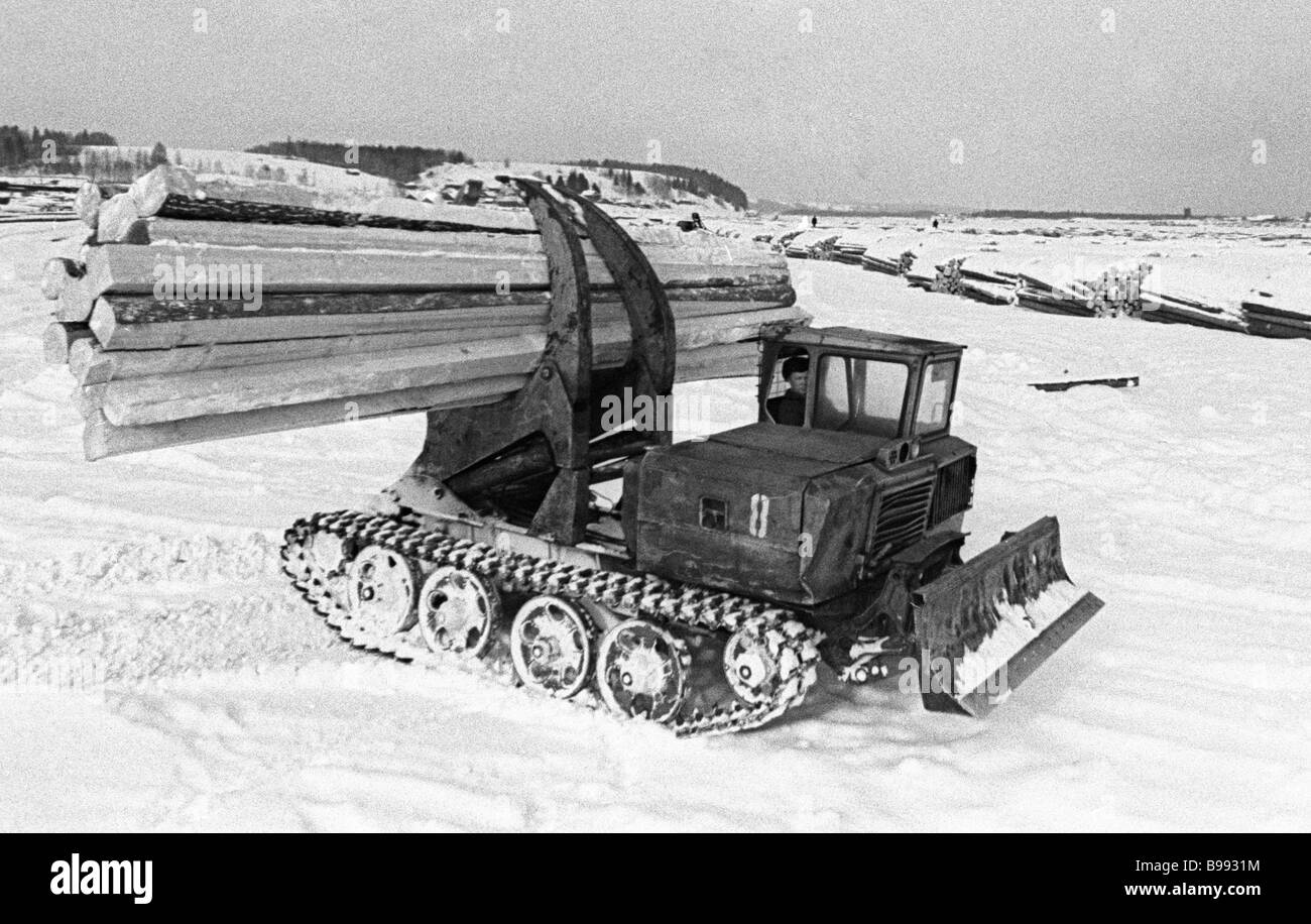 Logger at the winter timber processing Stock Photo - Alamy