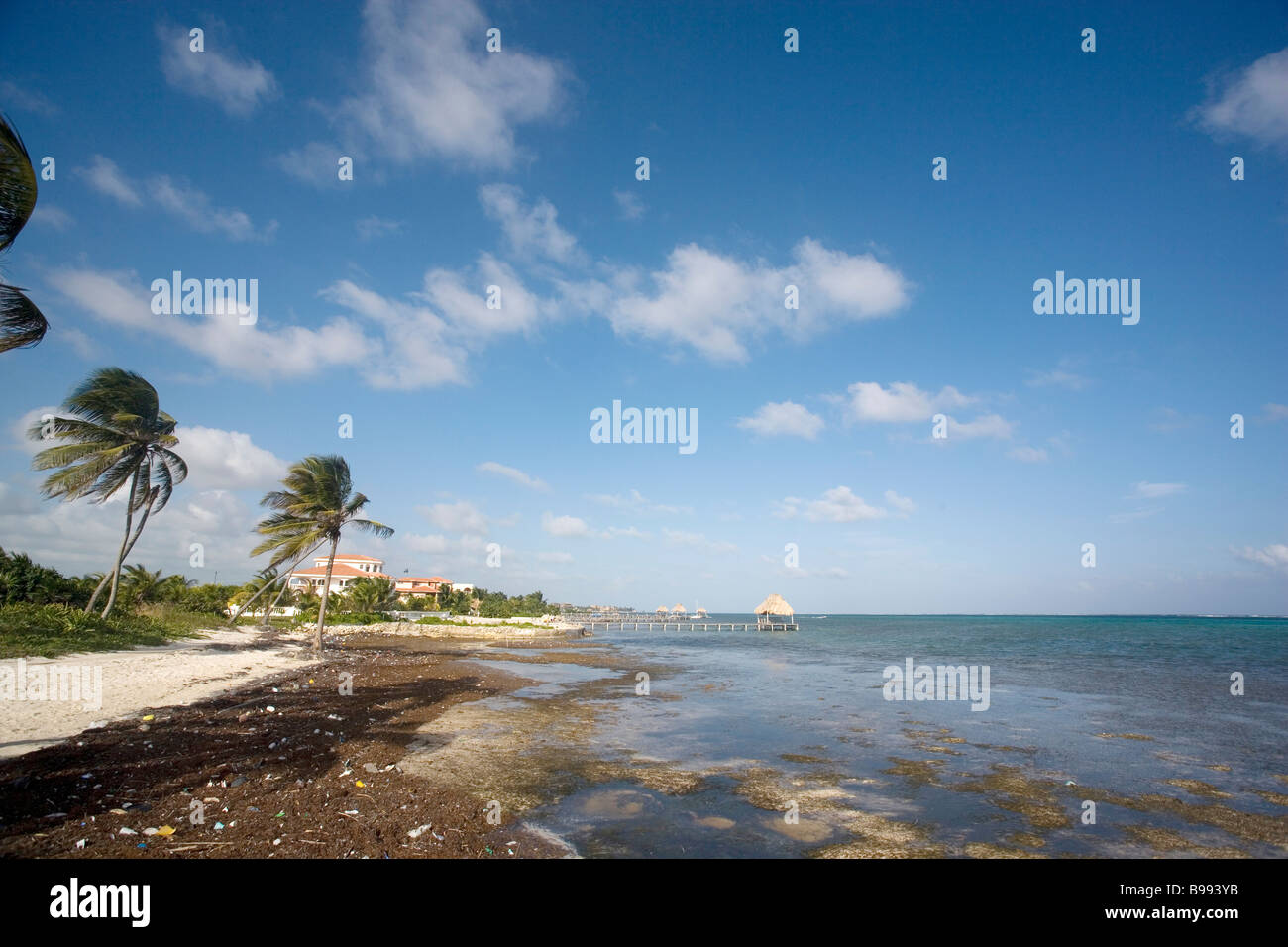 Pollution, trash, and debris gets blown onto the beaches from the open ...