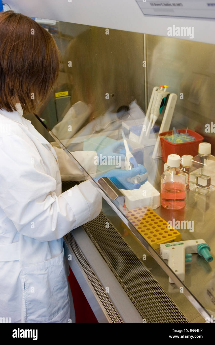 Laboratory woman cells hi-res stock photography and images - Alamy