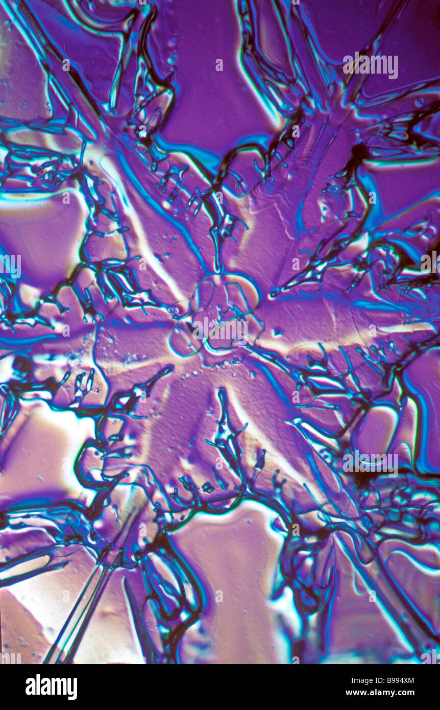 snowflake plastic replica photographed by nomarski optics Stock Photo ...