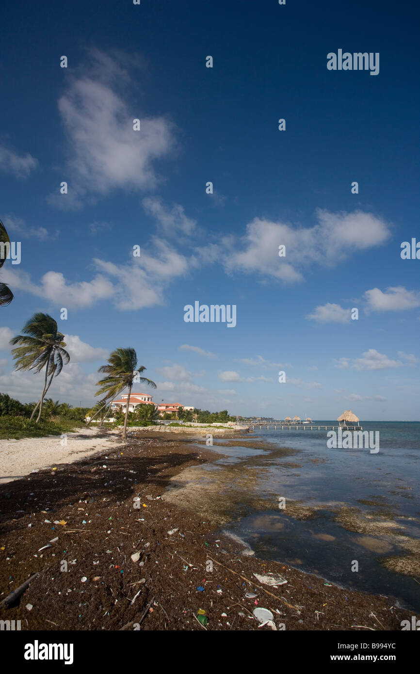 Pollution, trash, and debris gets blown onto the beaches from the open ...