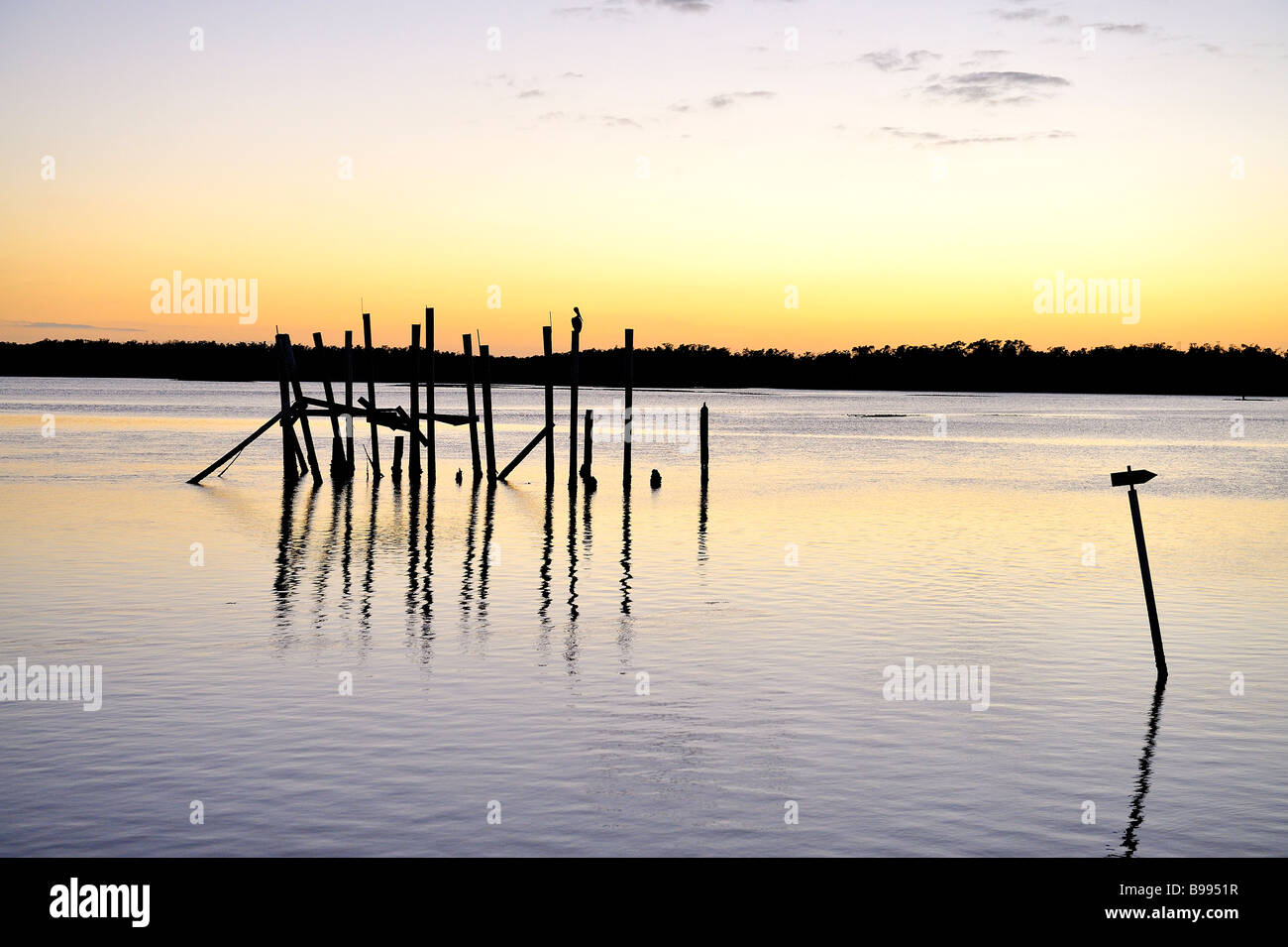 Pelican pilings hi-res stock photography and images - Alamy