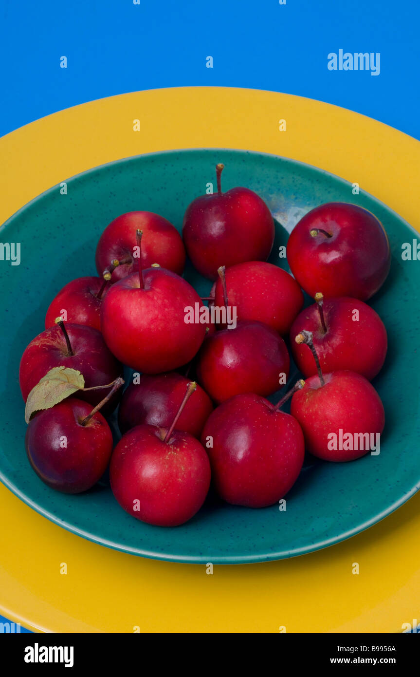 Crabapples hi-res stock photography and images - Alamy