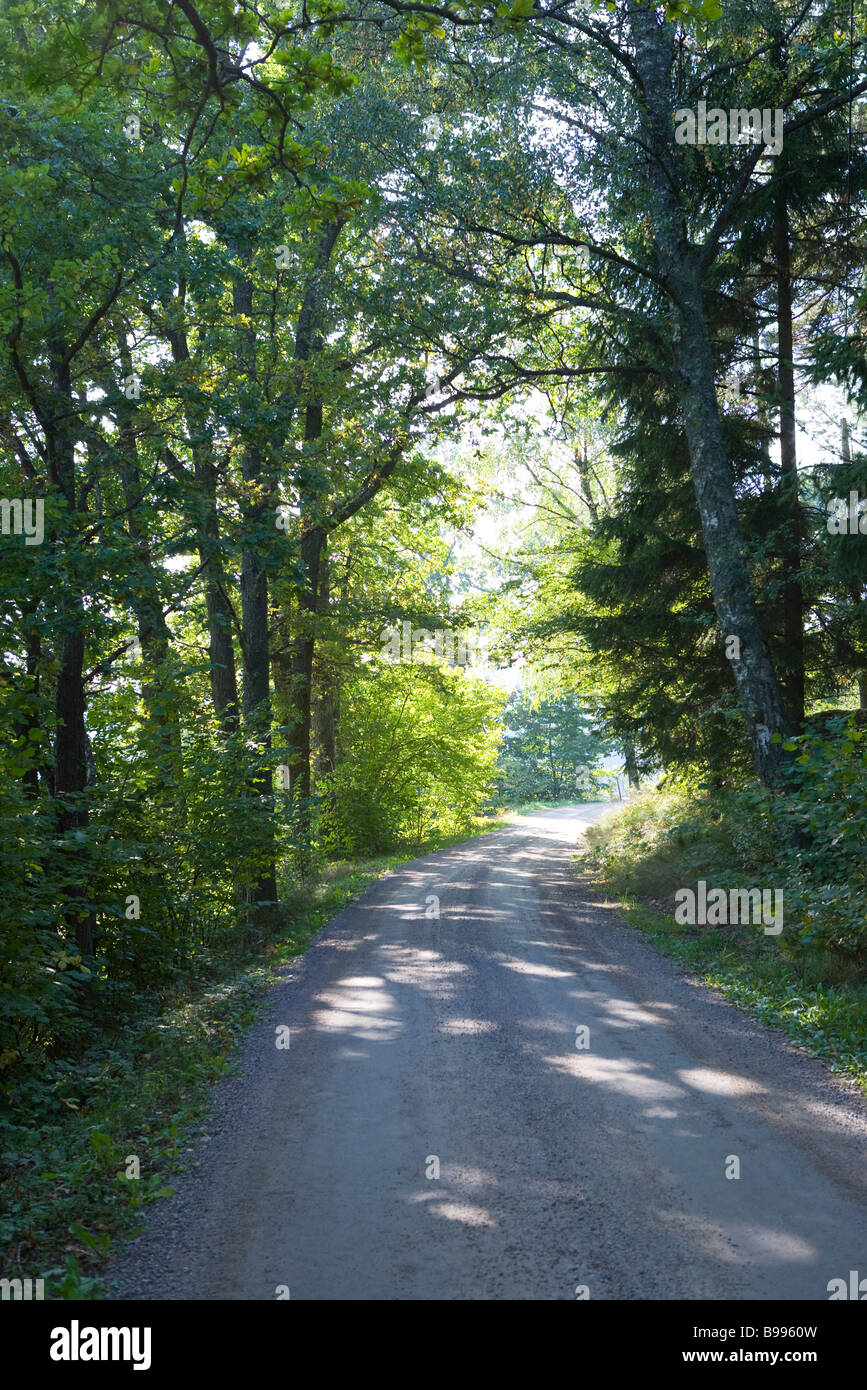 Dirt road through woods hi-res stock photography and images - Alamy