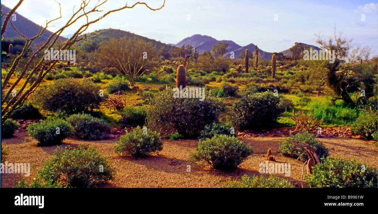 Colorful panoramic image of the great southwestern American desert ...