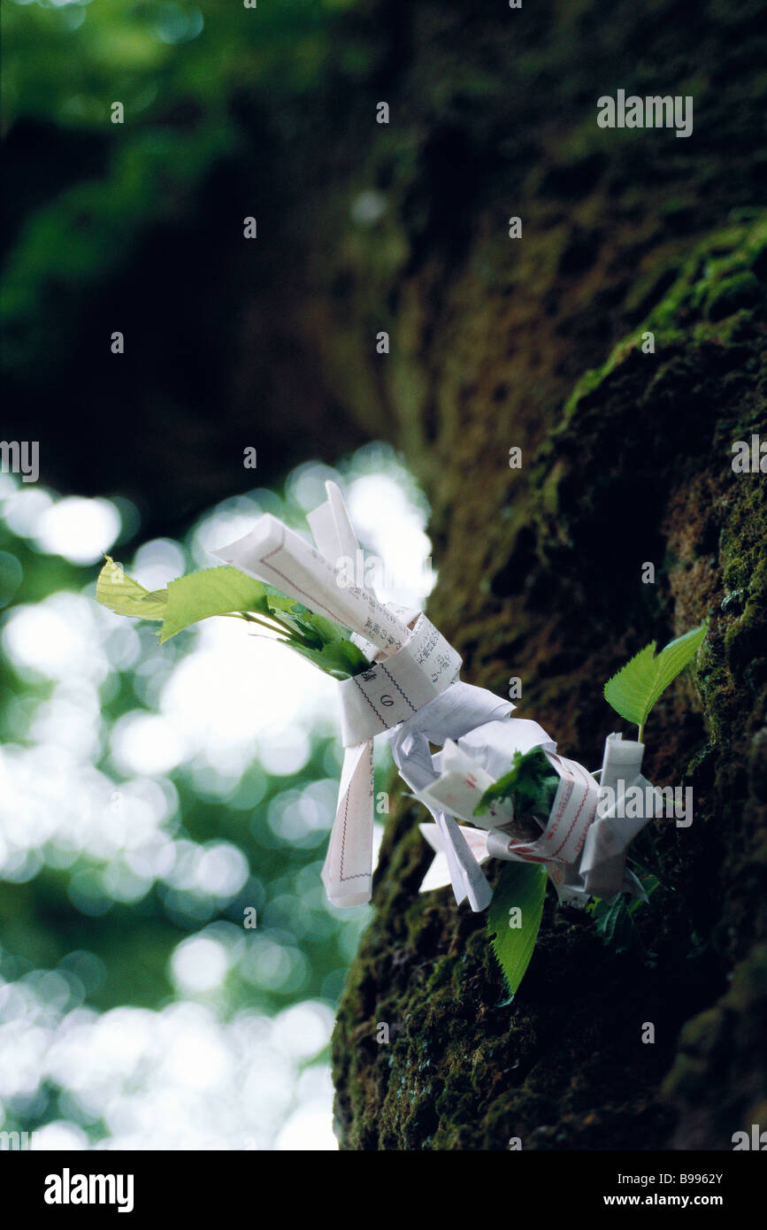 Paper tied to trees hi-res stock photography and images - Alamy