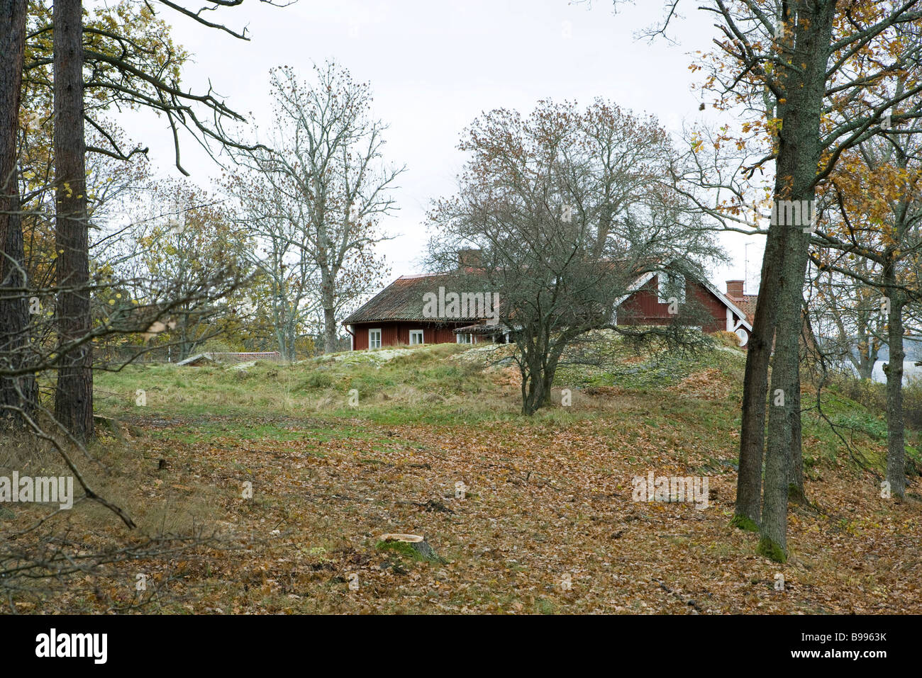 Rural scene with house Stock Photo - Alamy
