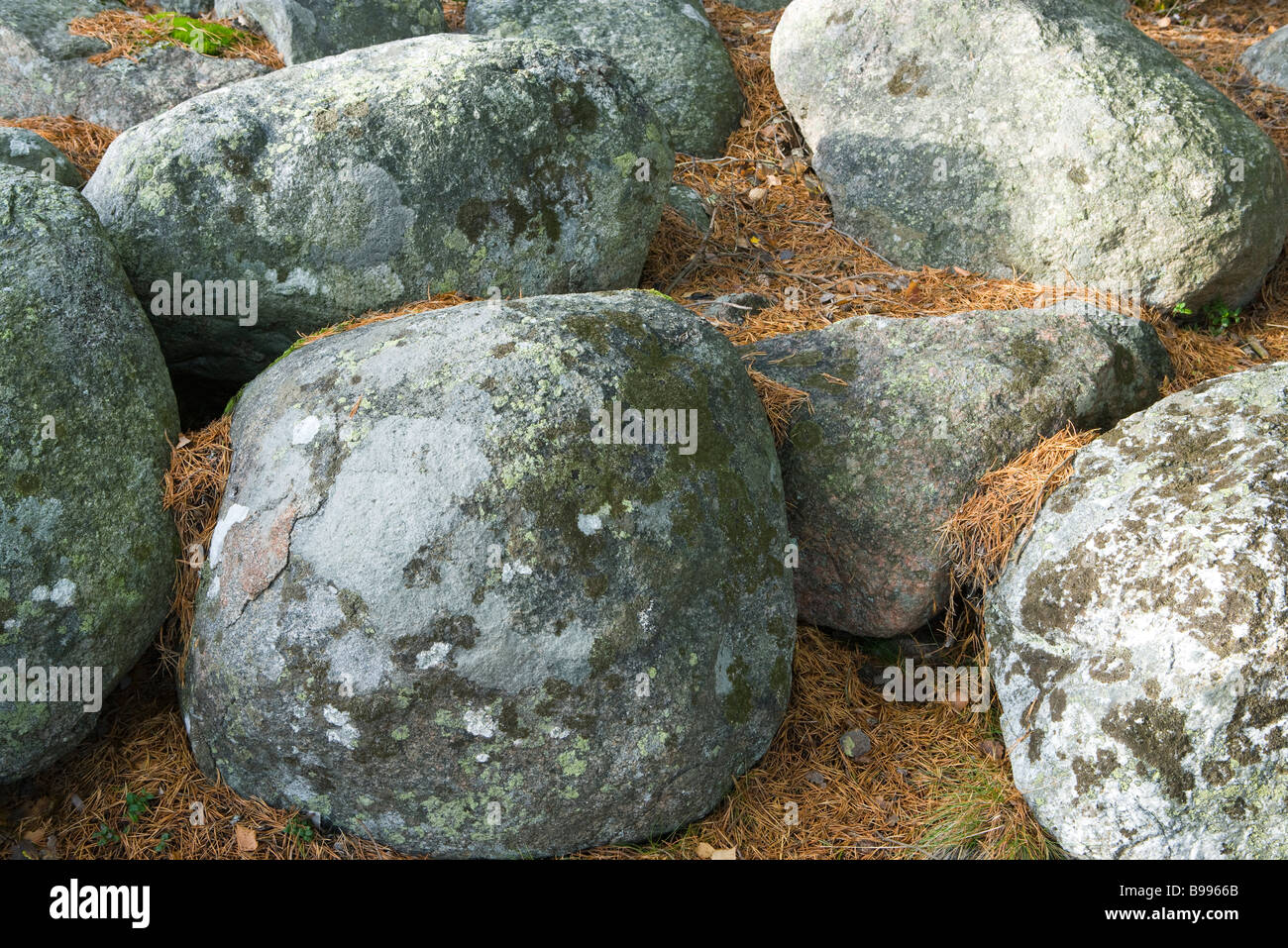 Rocks covered with lichen Stock Photo - Alamy