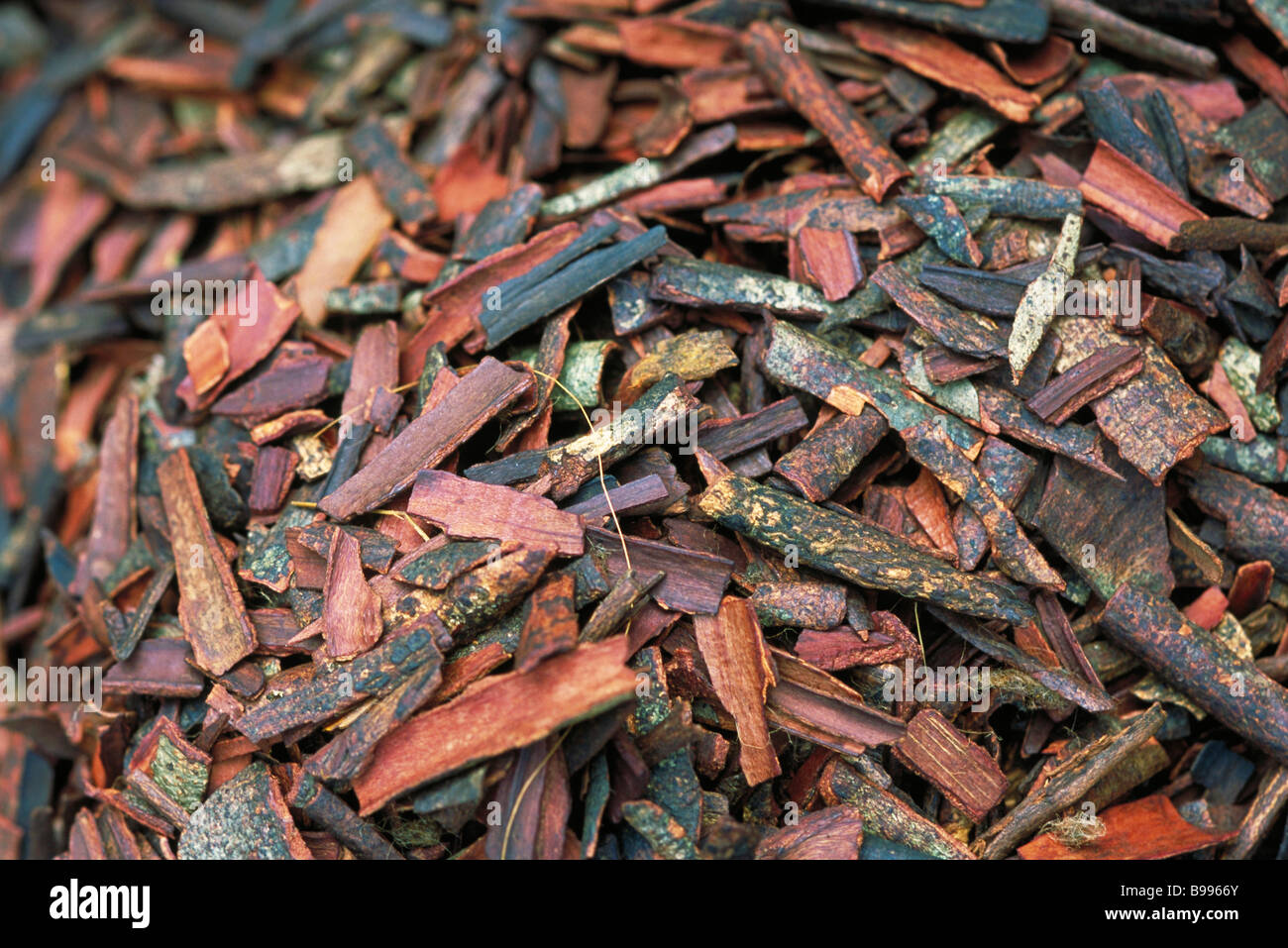 Cinnamon bark hi-res stock photography and images - Alamy