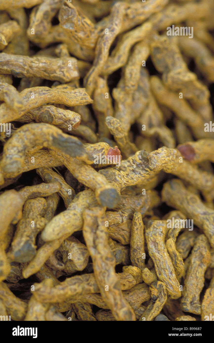Turmerics hi-res stock photography and images - Alamy