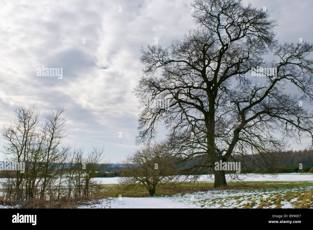 A snowy landscape in Berkshire Stock Photo - Alamy