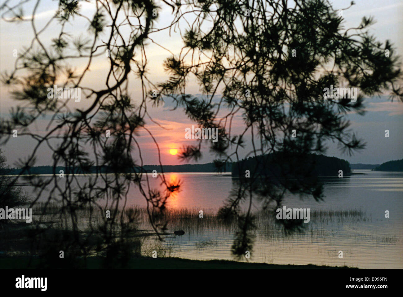 Saima High Resolution Stock Photography and Images - Alamy