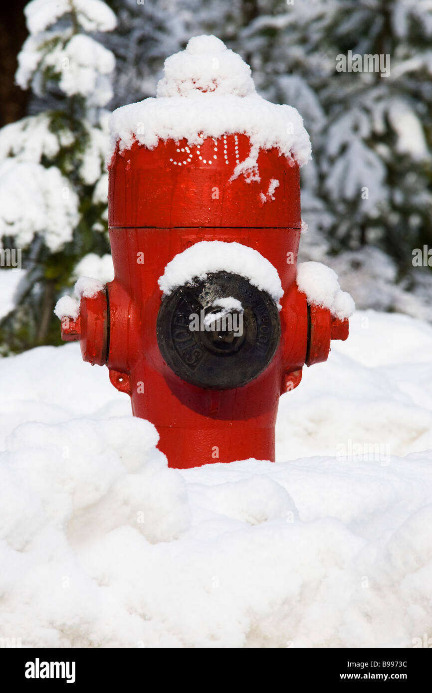 Snowy red fire hydrant Stock Photo - Alamy
