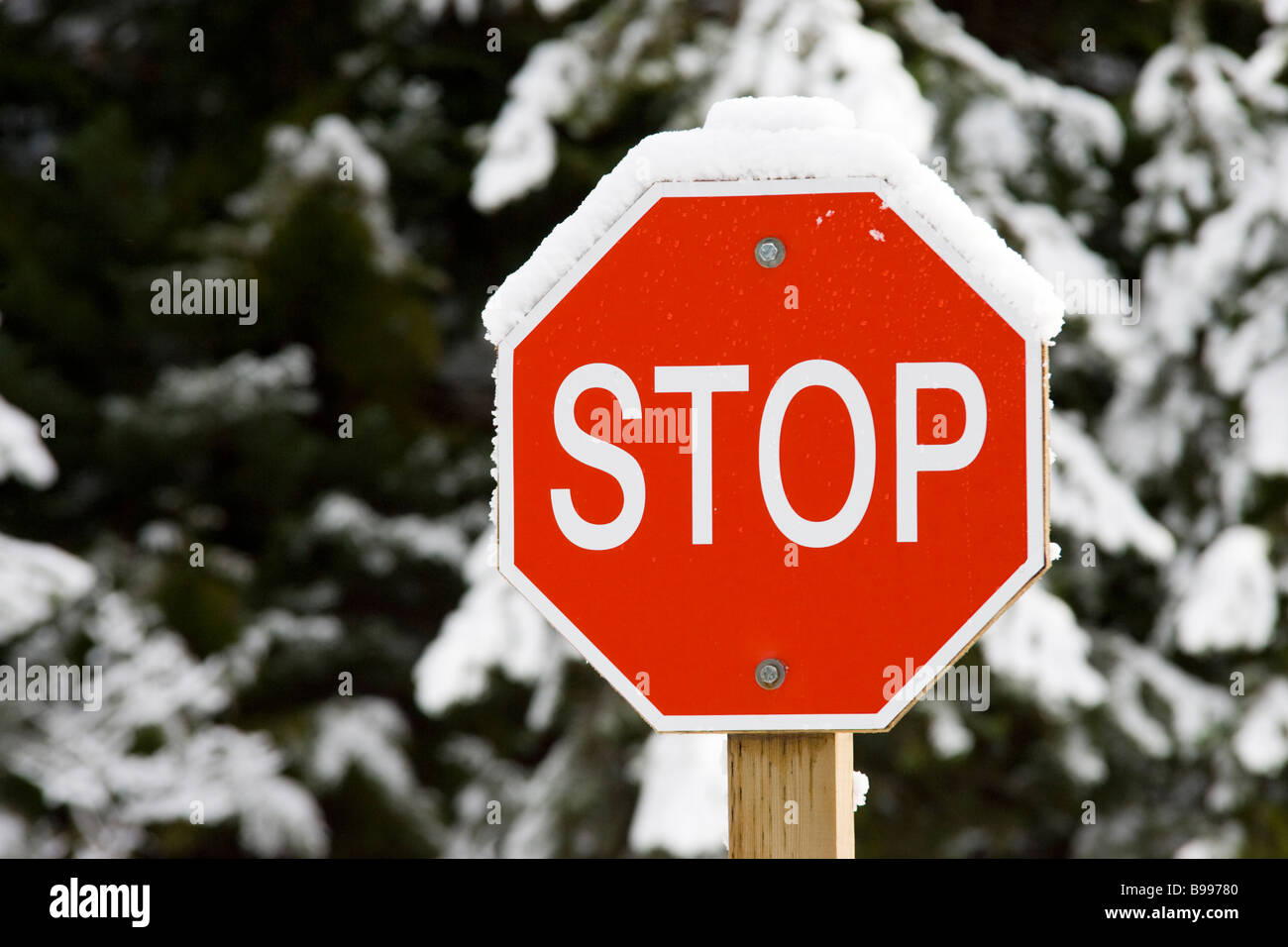 Snowy stop sign Stock Photo - Alamy