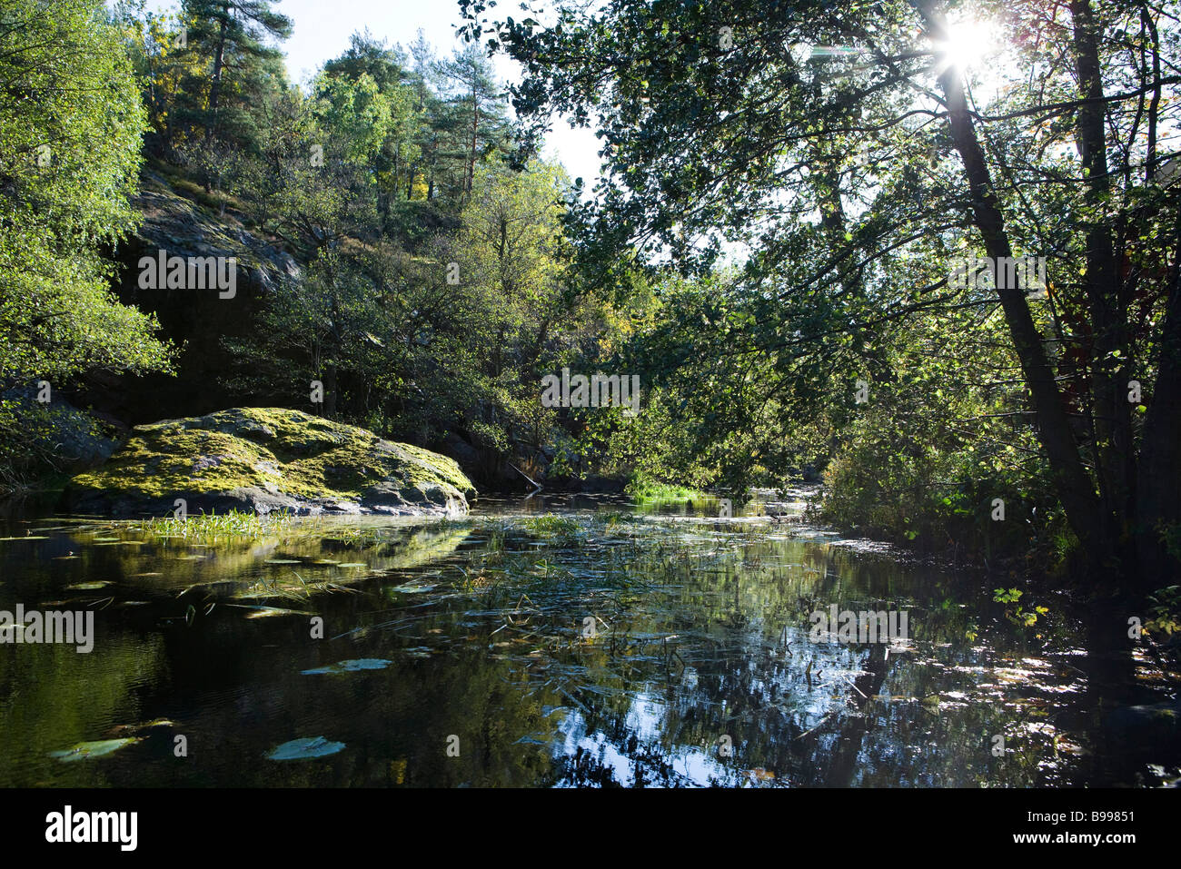 Tranquil pond scene hi-res stock photography and images - Alamy