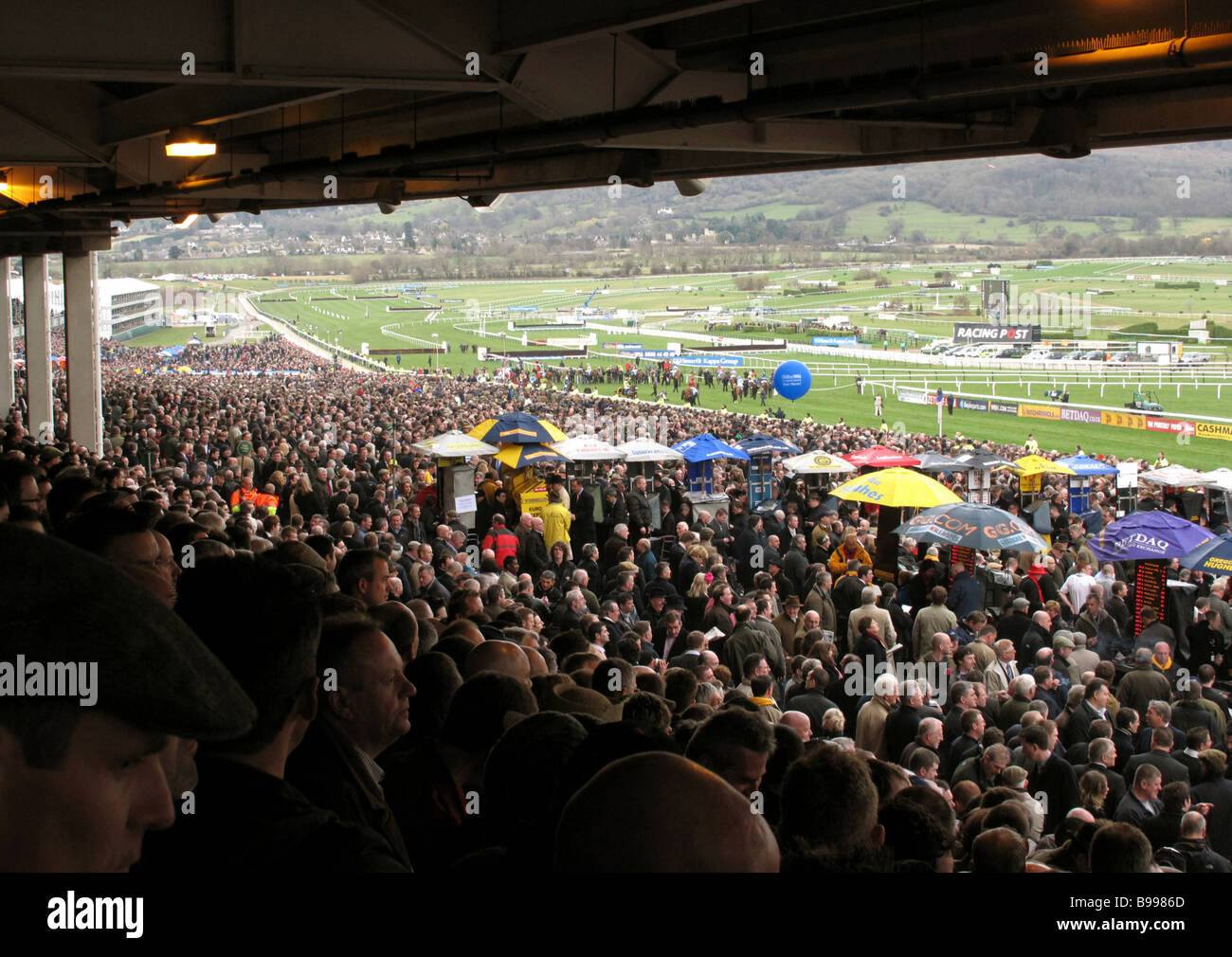 Cheltenham festival race track hi-res stock photography and images - Alamy