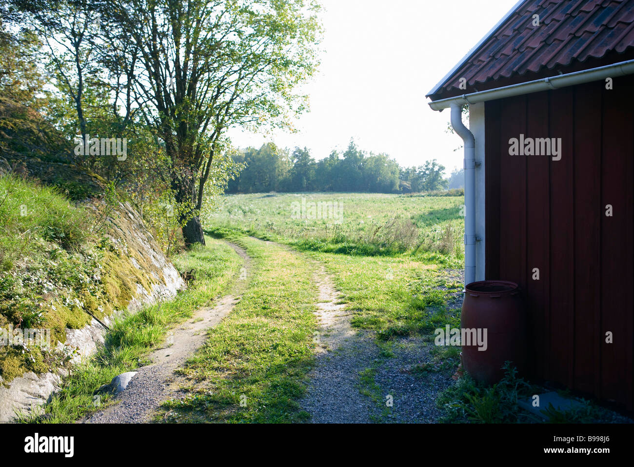 Rural scene with gravel driveway Stock Photo - Alamy