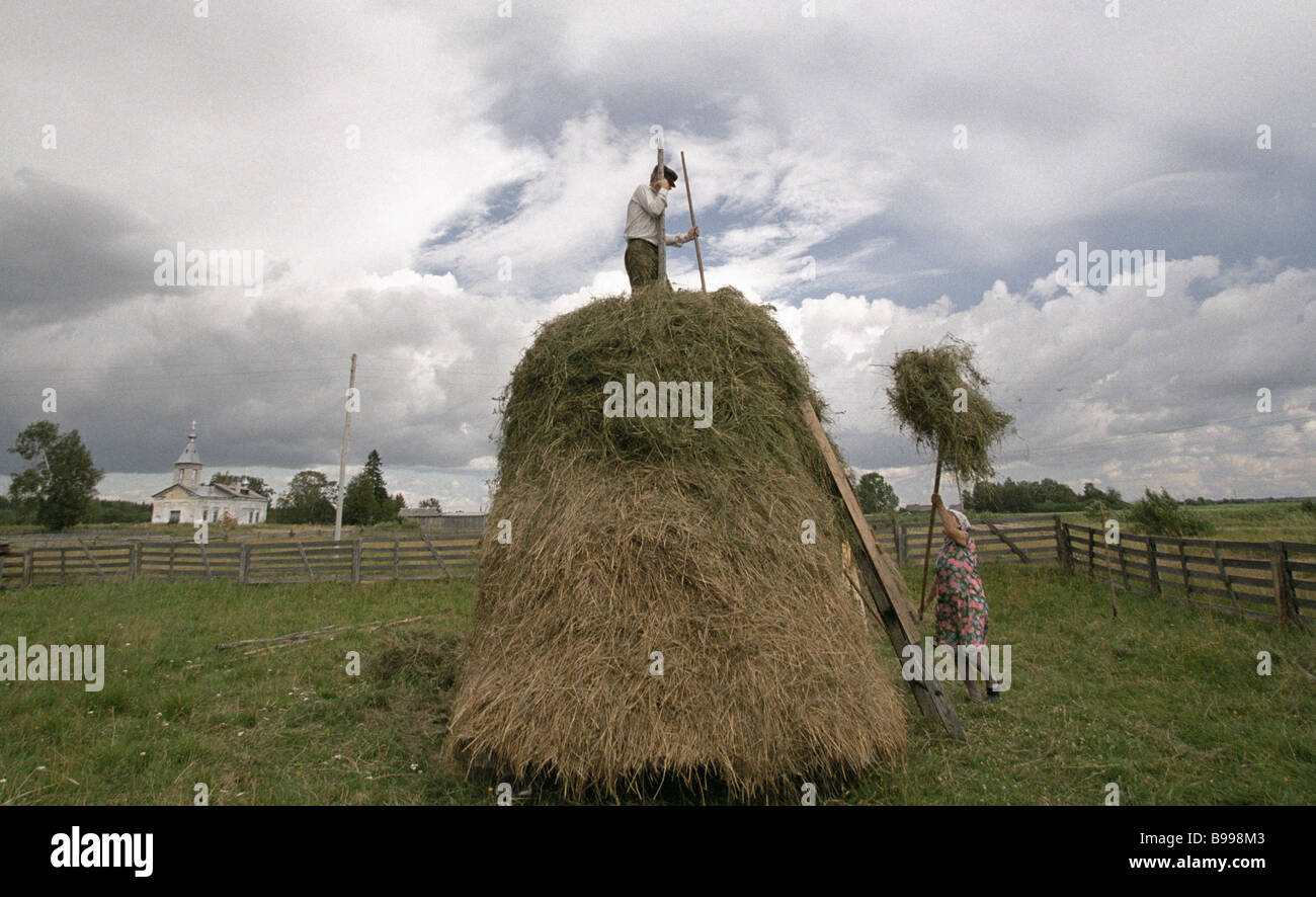 Arkhangelsk Region residents stacking hay Stock Photo - Alamy