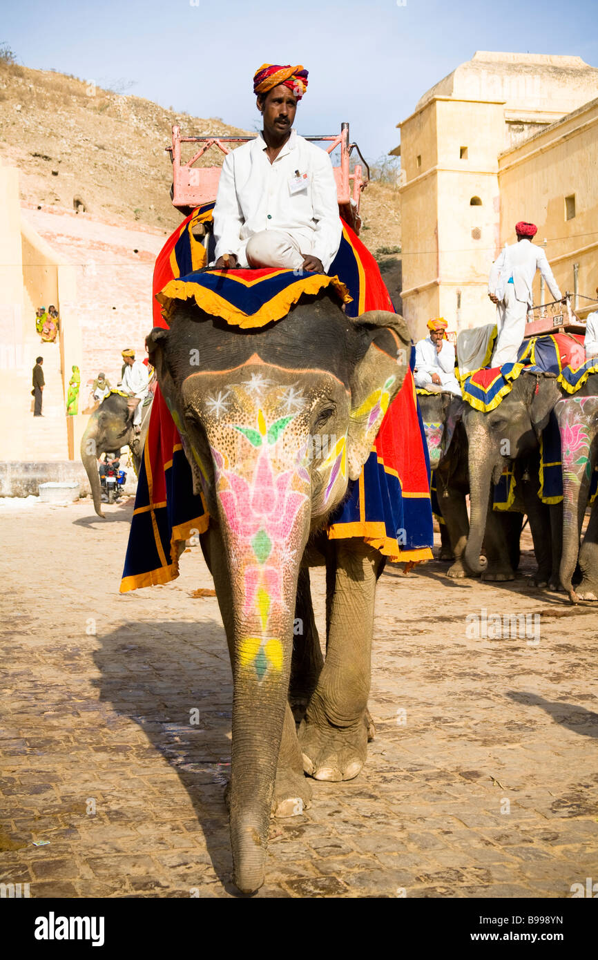 Indian man sitting on elephant hi-res stock photography and images - Alamy