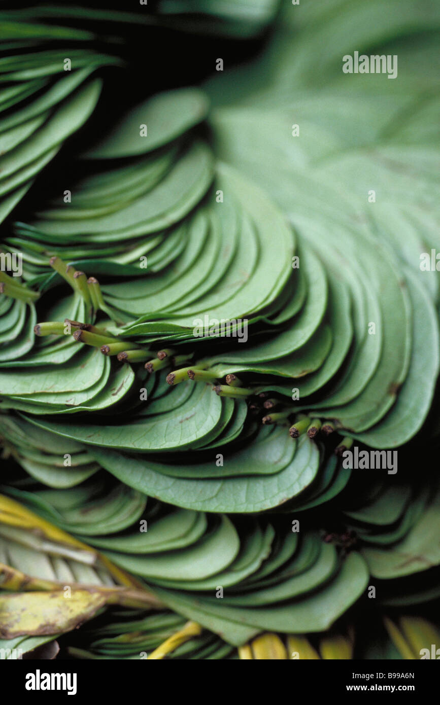 Staggered layers hi-res stock photography and images - Alamy