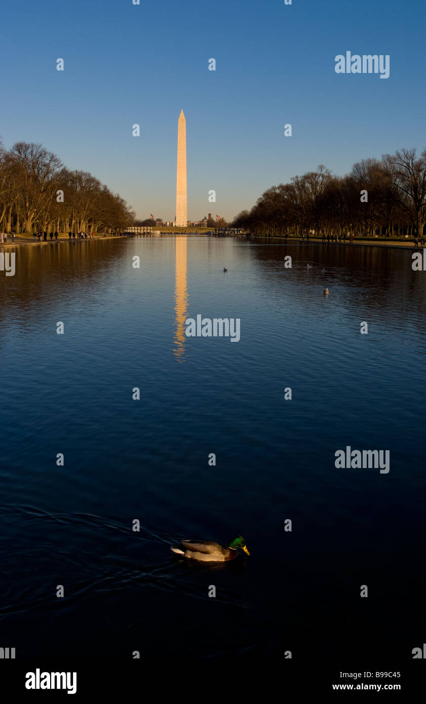 Beautiful tall tower of the Washington Monument and pond with capital ...