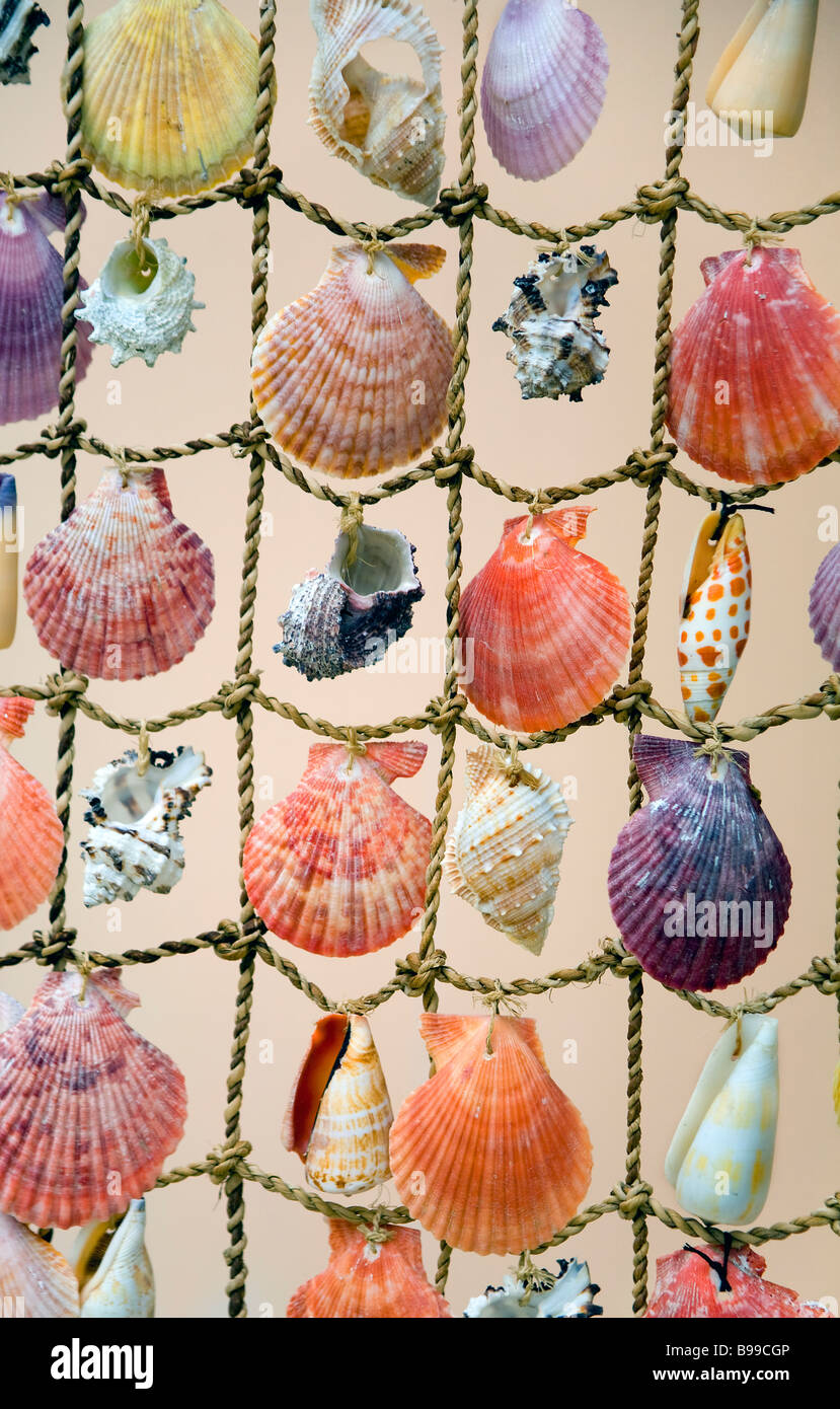 ethnic decorative ornament net with seashells Stock Photo - Alamy