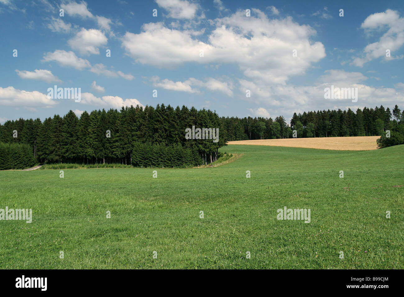 Rural scene scenic skies hi-res stock photography and images - Alamy